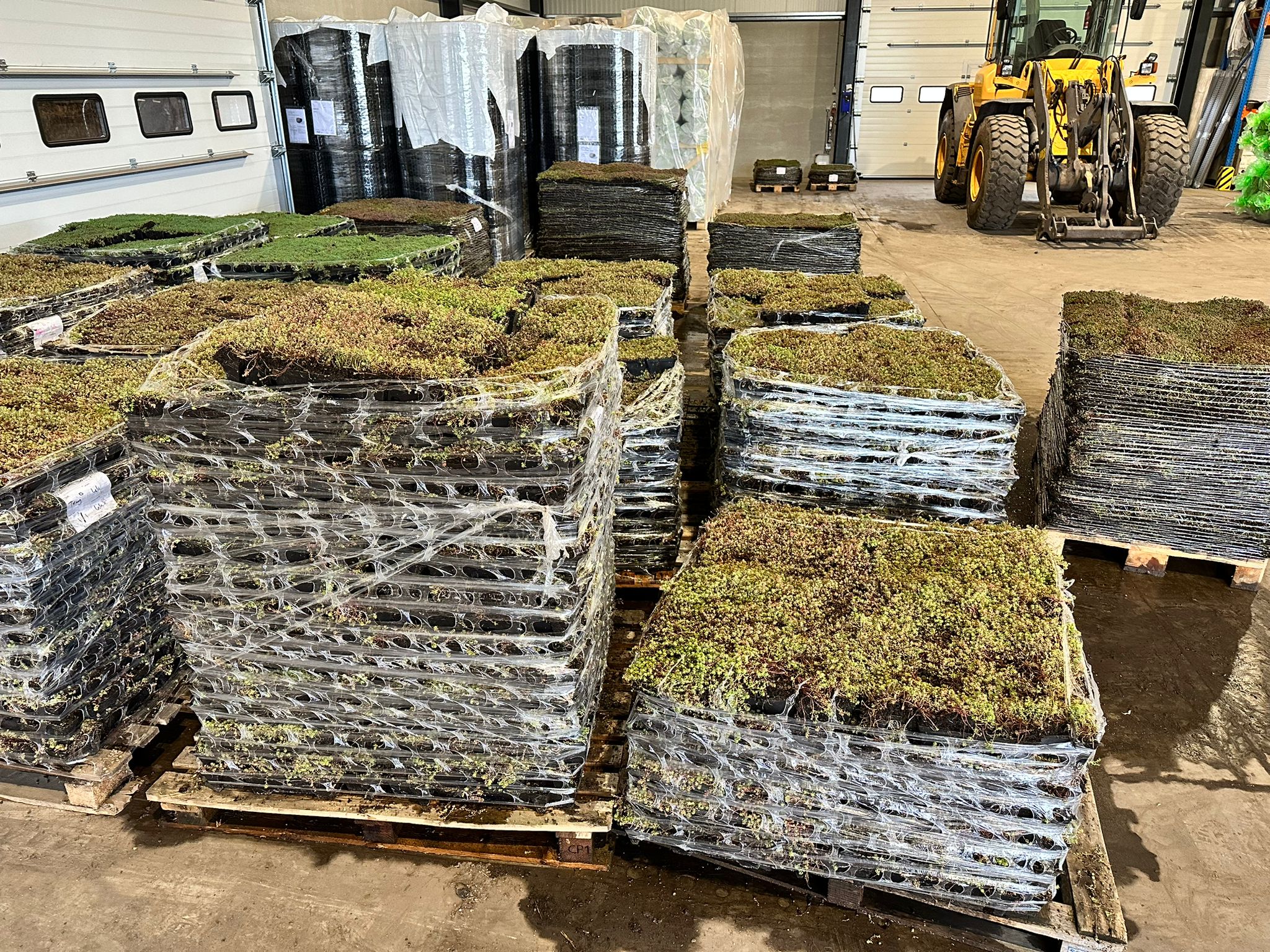 Groendak webshop | Groendak online kopen | Easy Sedum Shop